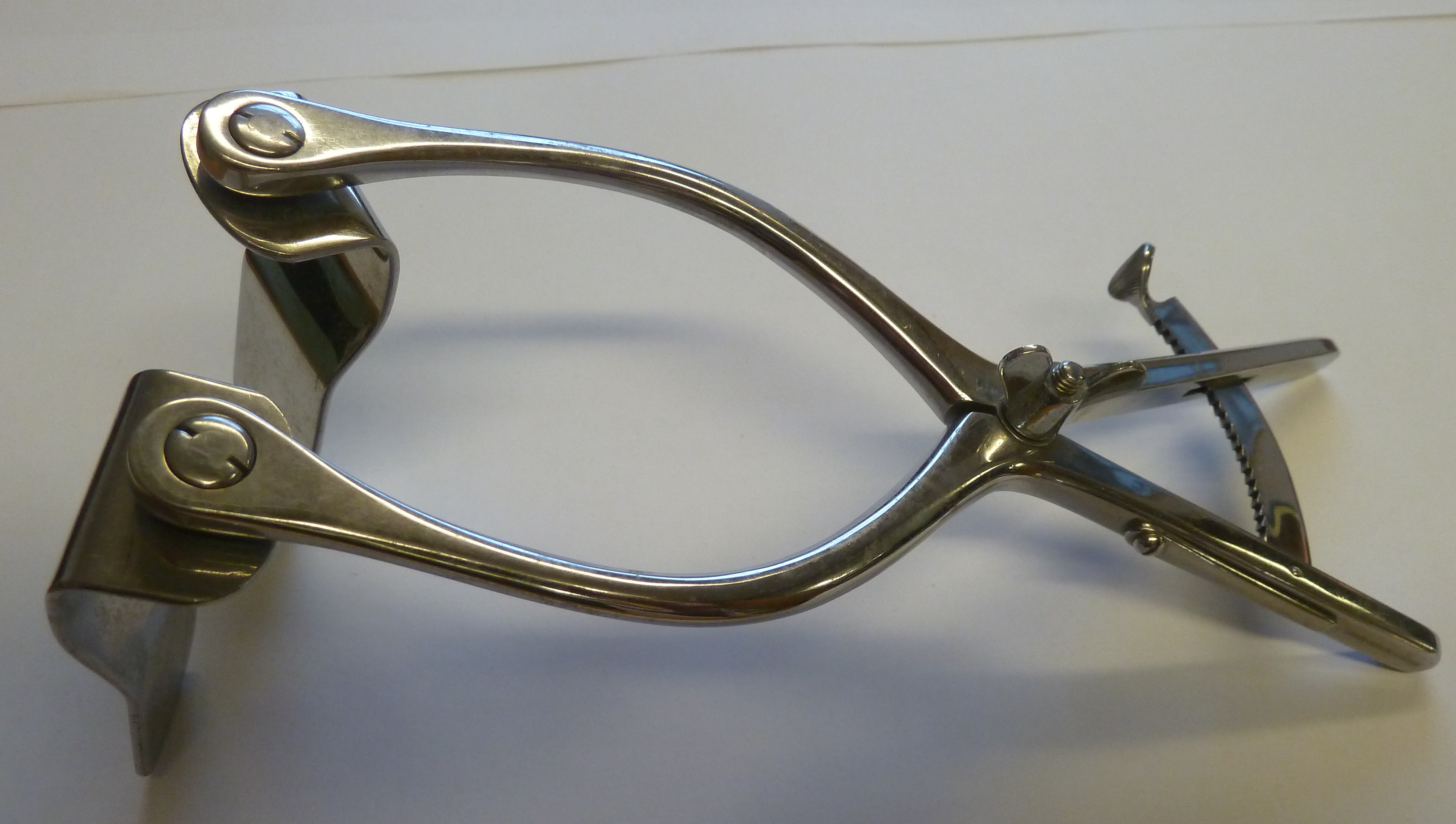 The Bristol (Roger Feneley) Collection | The British Association of ...